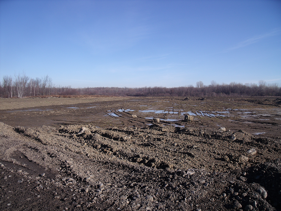 Contaminated Site Classification and Reporting - BluMetric